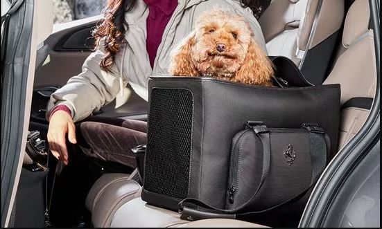 Ferrari Purosangue Travel Pet carrier – Boch Exotics Pro Shop